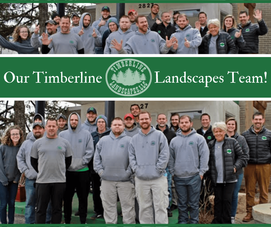 Our Team - Timberline Landscapes - Timberline Landscapes